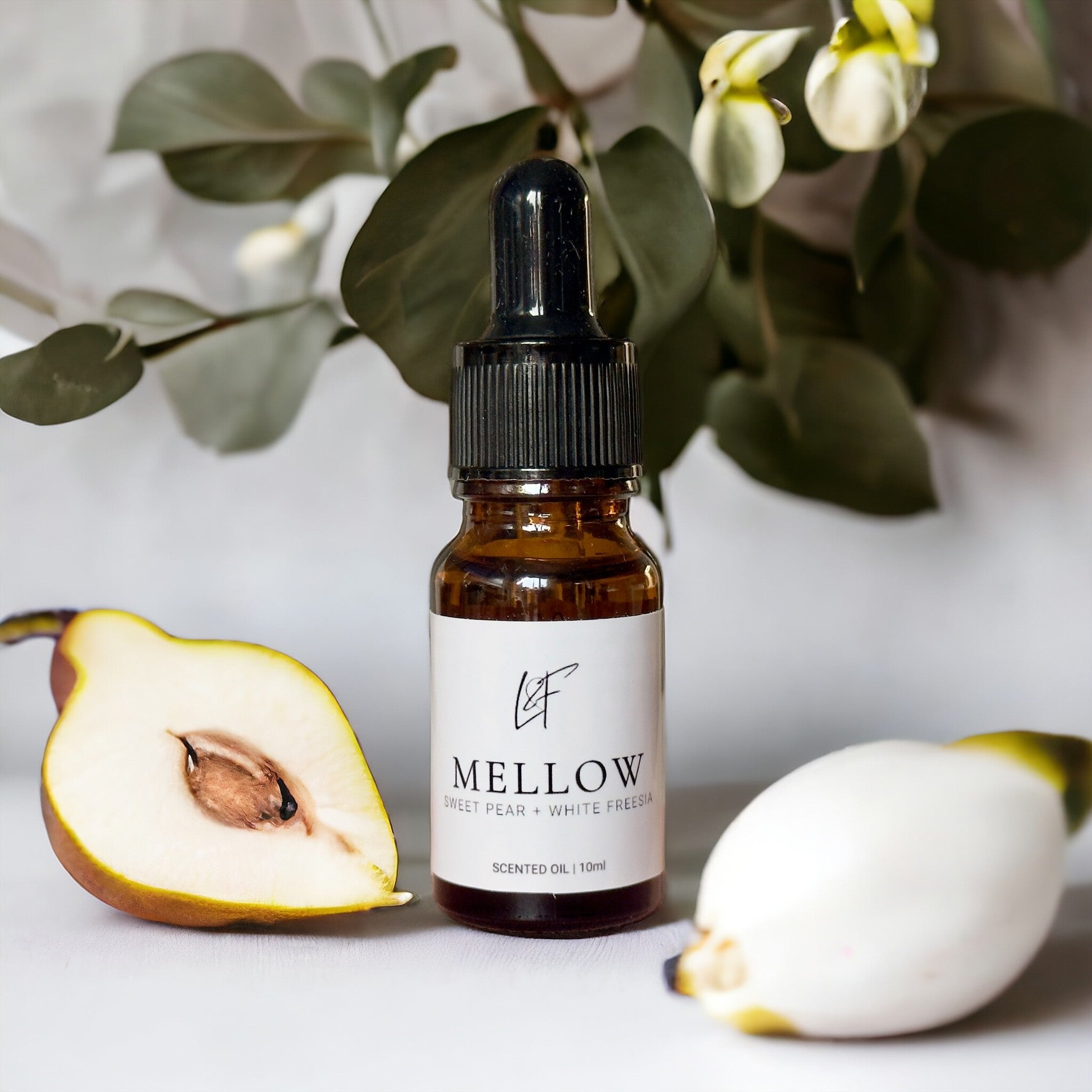 MELLOW Fragrance Oil – Leaf and Frosty